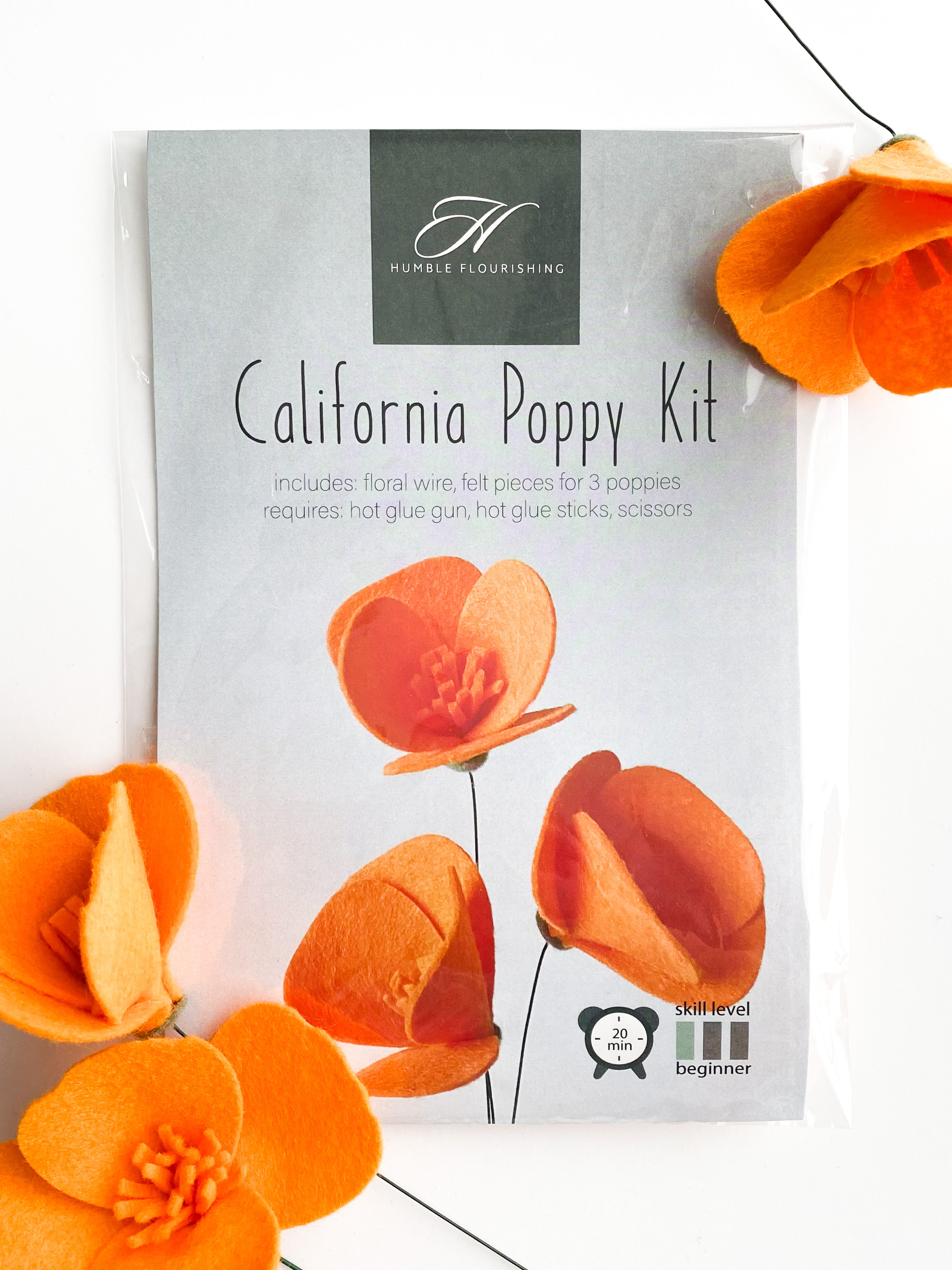 California Poppy | DIY Kit – Humble Flourishing